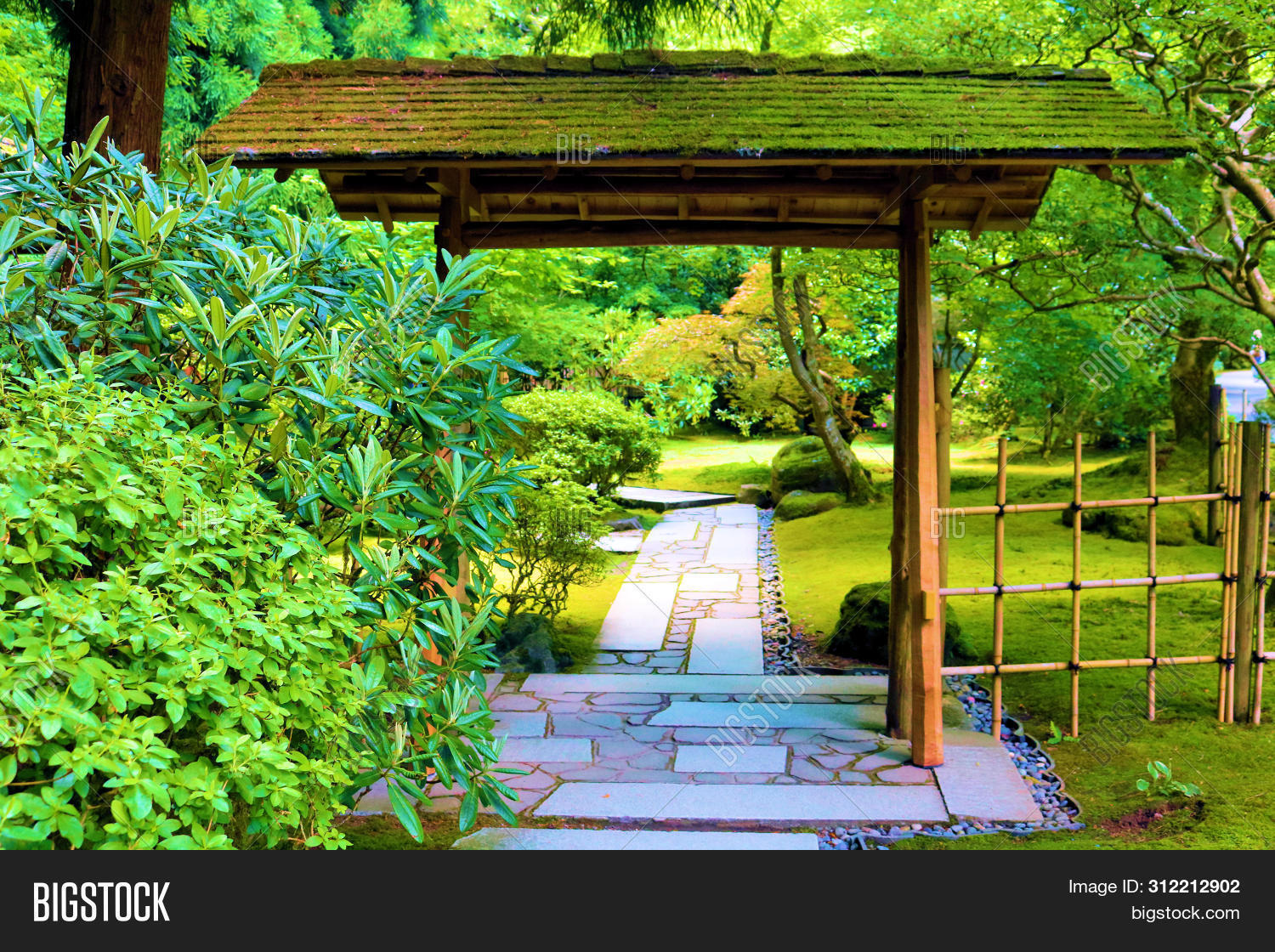 Pathway Under Image & Photo (Free Trial) | Bigstock