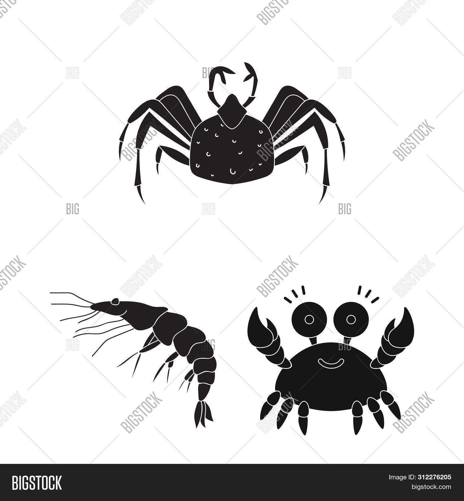 Bitmap Illustration Image & Photo (Free Trial) | Bigstock