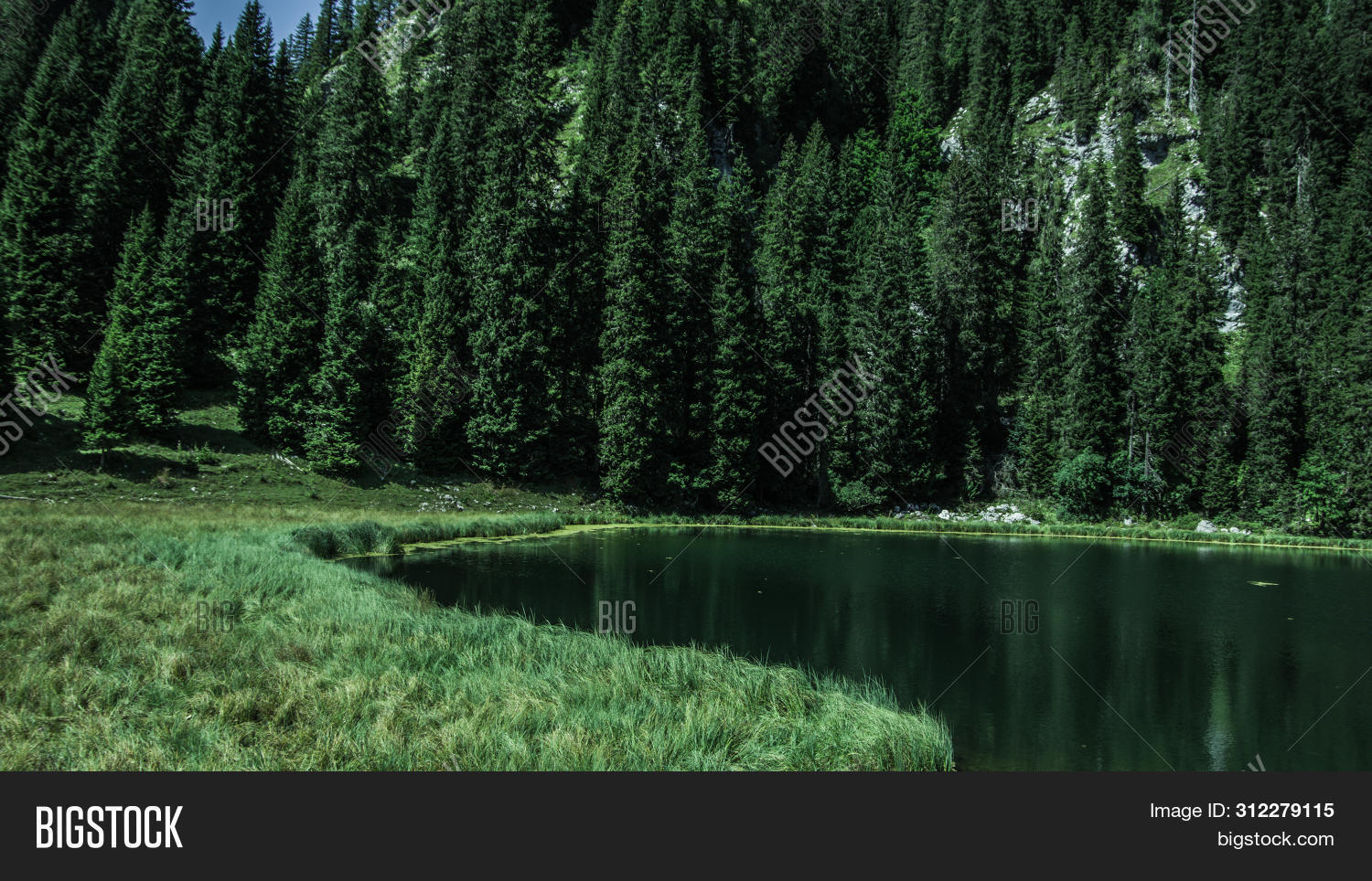 Landscape View Left Image & Photo (Free Trial) | Bigstock
