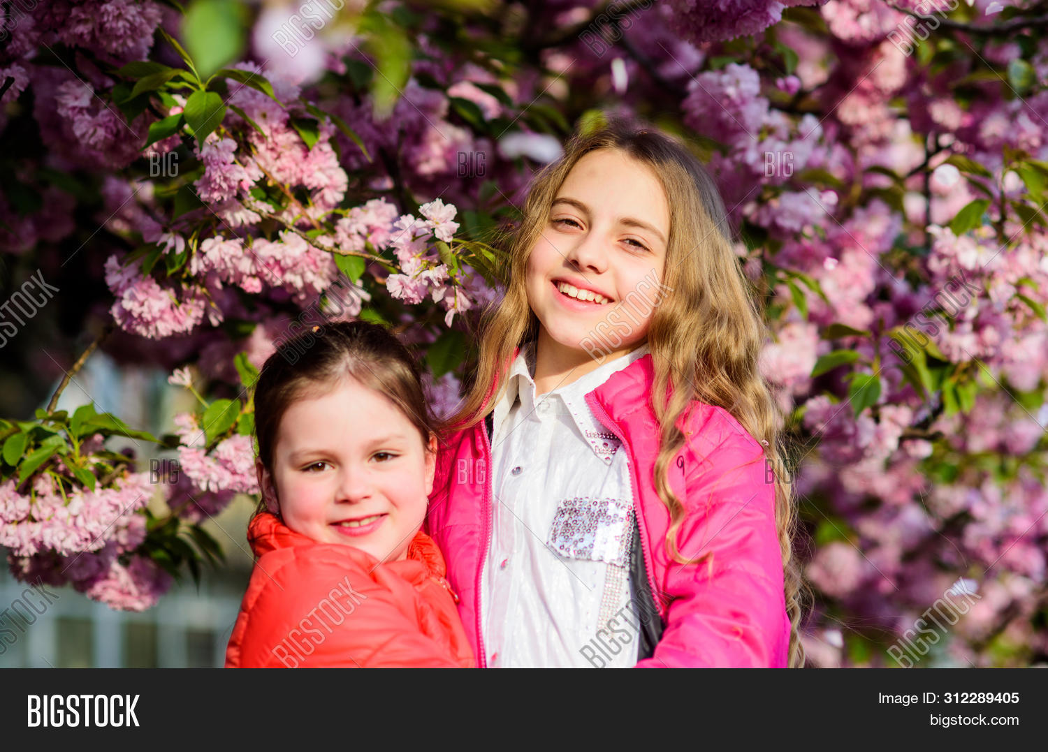 Kids Pink Flowers Image & Photo (Free Trial) | Bigstock