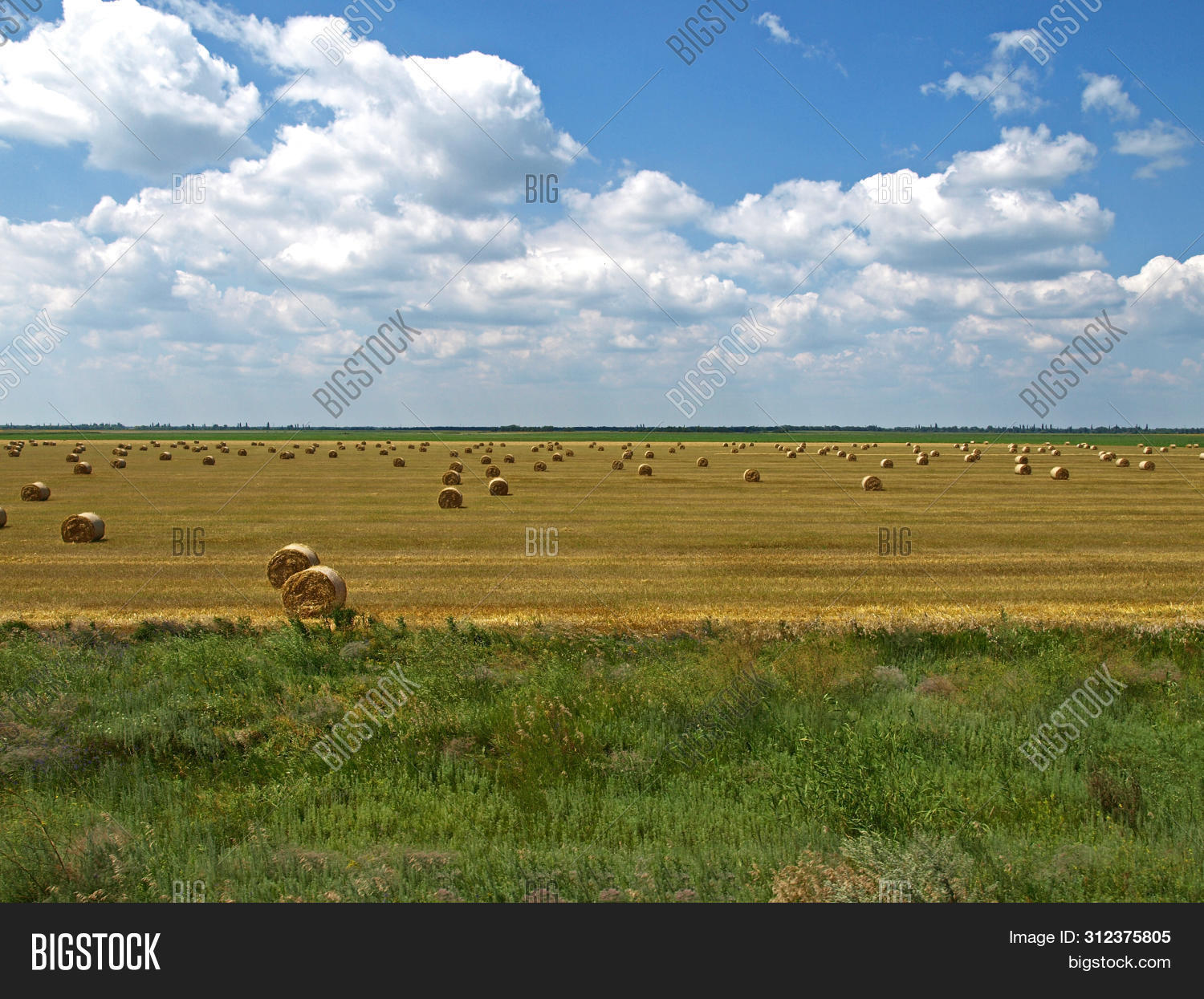 Summer Landscape Hay Image & Photo (Free Trial) | Bigstock