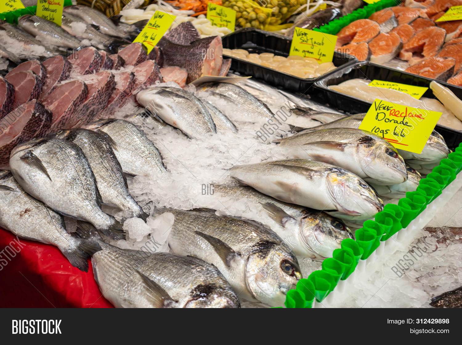 Fish Variety Sale Image & Photo (Free Trial) | Bigstock