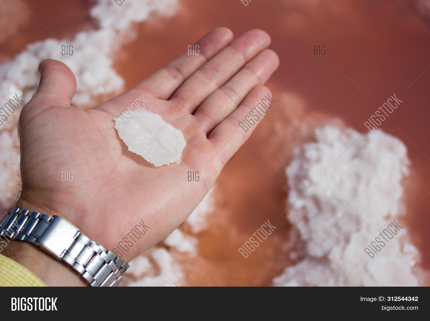 Male Hand Piece Salt Image & Photo (Free Trial) | Bigstock