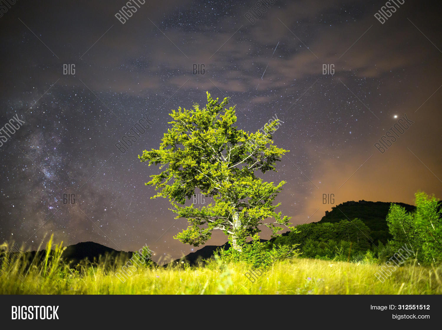 Real Falling/shooting Image & Photo (Free Trial) | Bigstock
