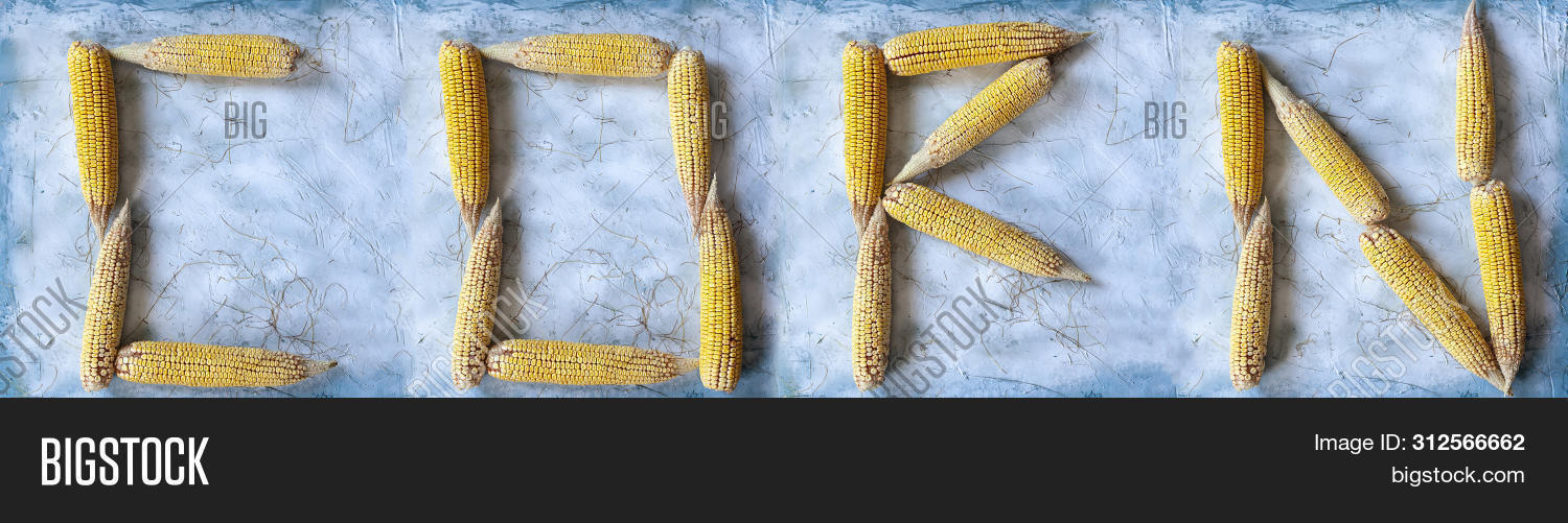 Corn Word Made Shucked Image & Photo (Free Trial) | Bigstock