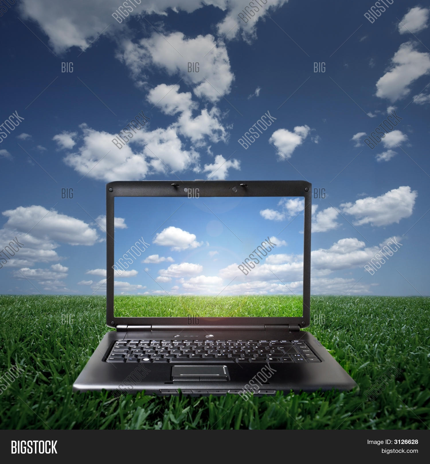Laptop On Green Grass Image & Photo (Free Trial) | Bigstock