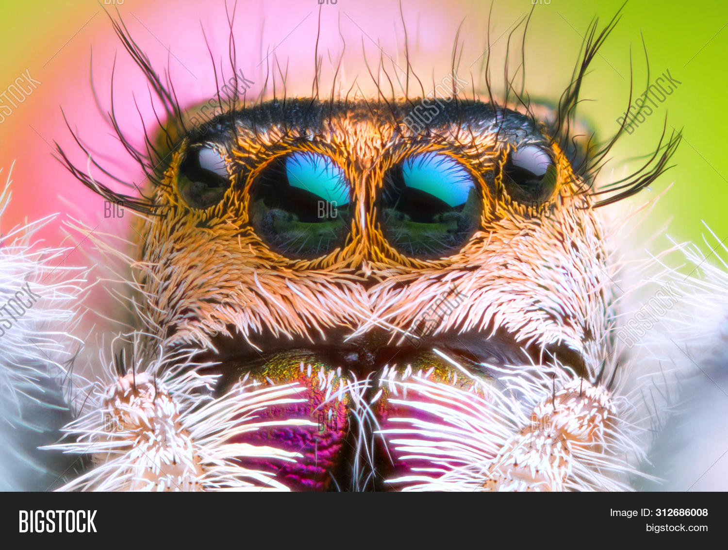 Front View Extreme Image & Photo (Free Trial) | Bigstock