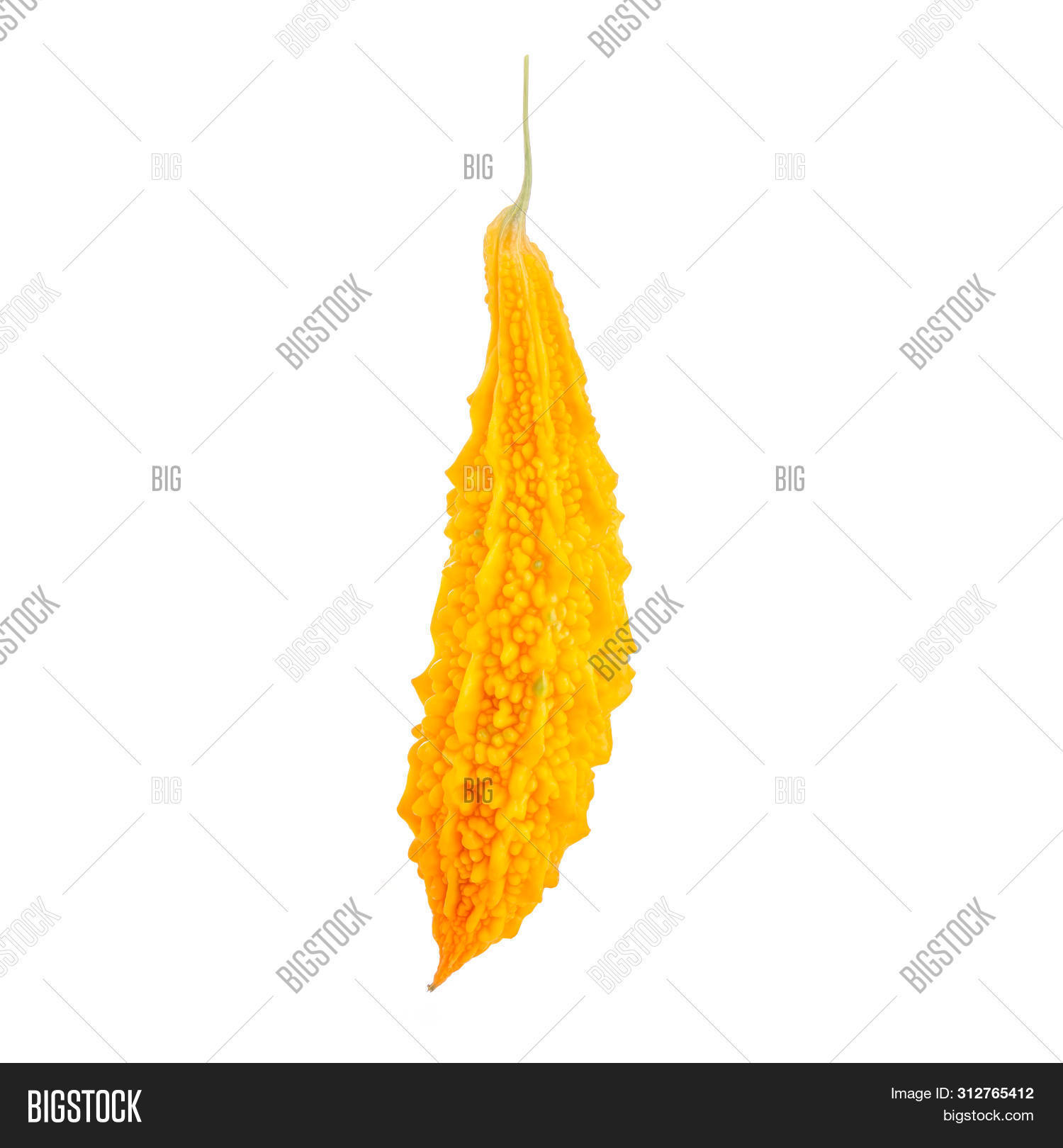 Ripe Yellow Bitter Image & Photo (Free Trial) | Bigstock