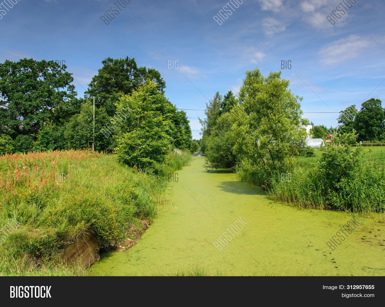 Overgrown Grass Canal Image & Photo (Free Trial) | Bigstock