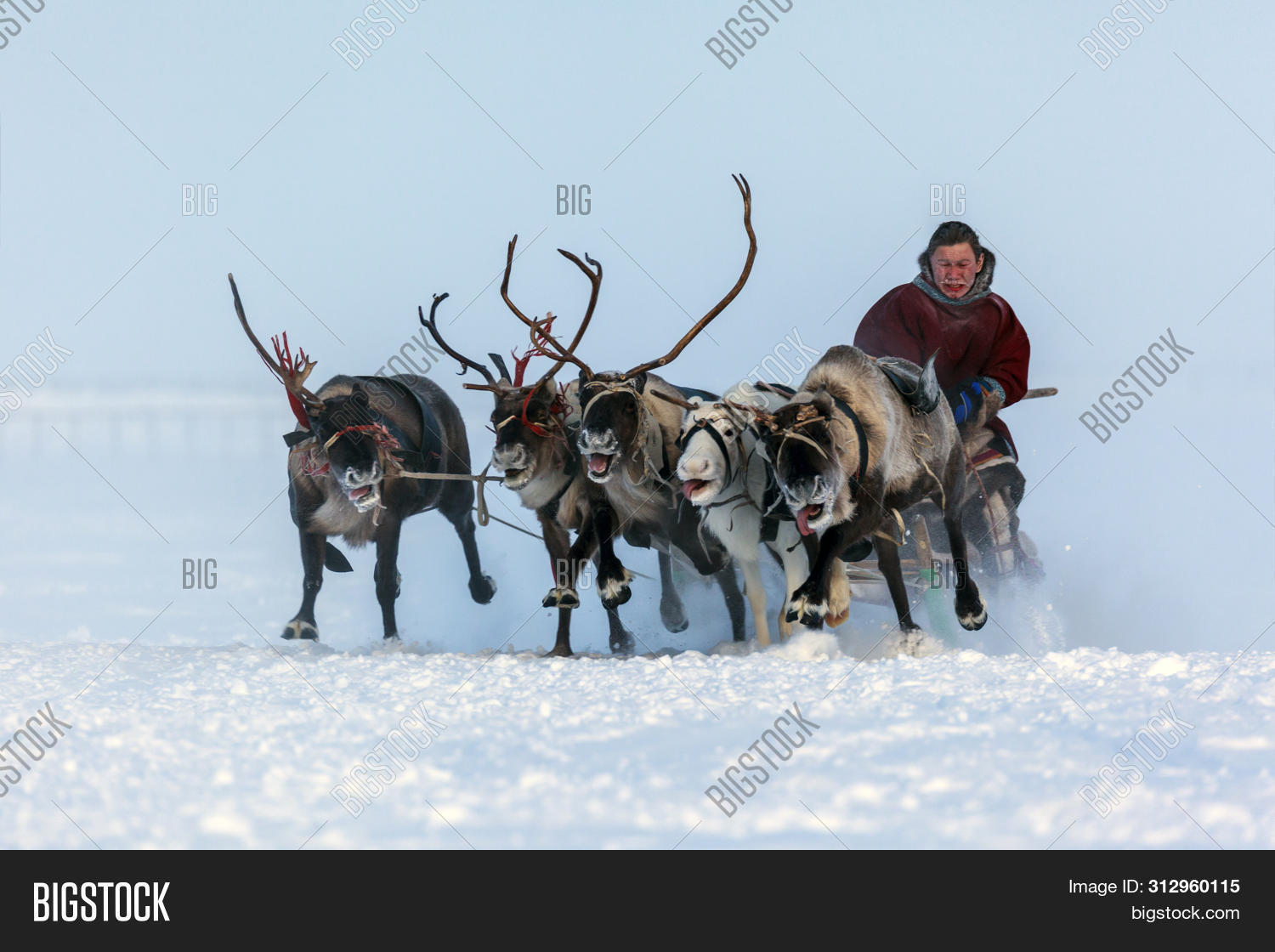 Nadym, Russia - Image & Photo (Free Trial) | Bigstock