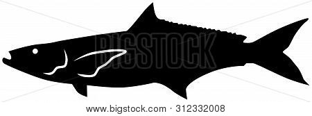 Cobia Fish Black Vector & Photo (Free Trial) | Bigstock