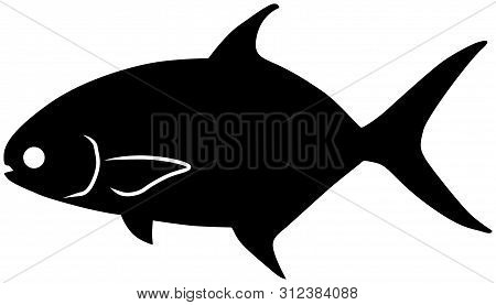 Pompano Fish Black Vector & Photo (Free Trial) | Bigstock
