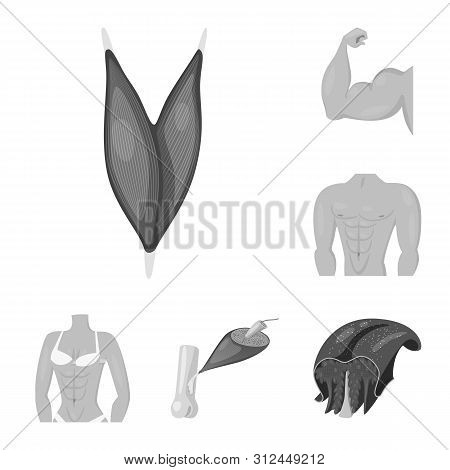 Bitmap Design Human Image & Photo (Free Trial) | Bigstock