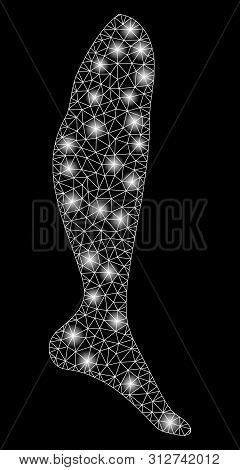 Glowing Mesh Leg Vector & Photo (Free Trial) | Bigstock