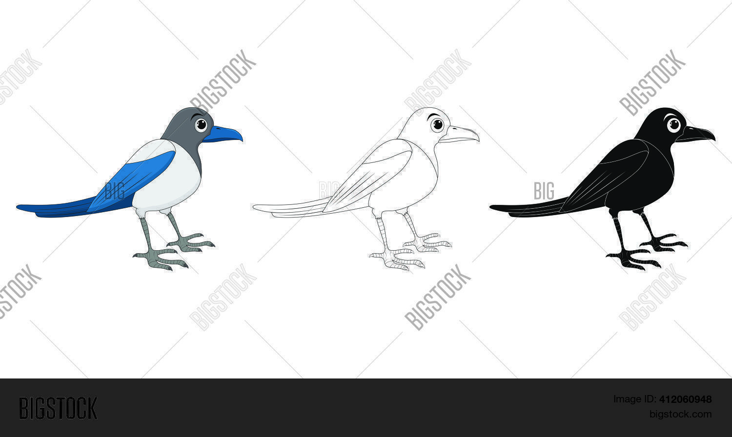Magpie Bird Cartoon Vector & Photo (Free Trial) | Bigstock