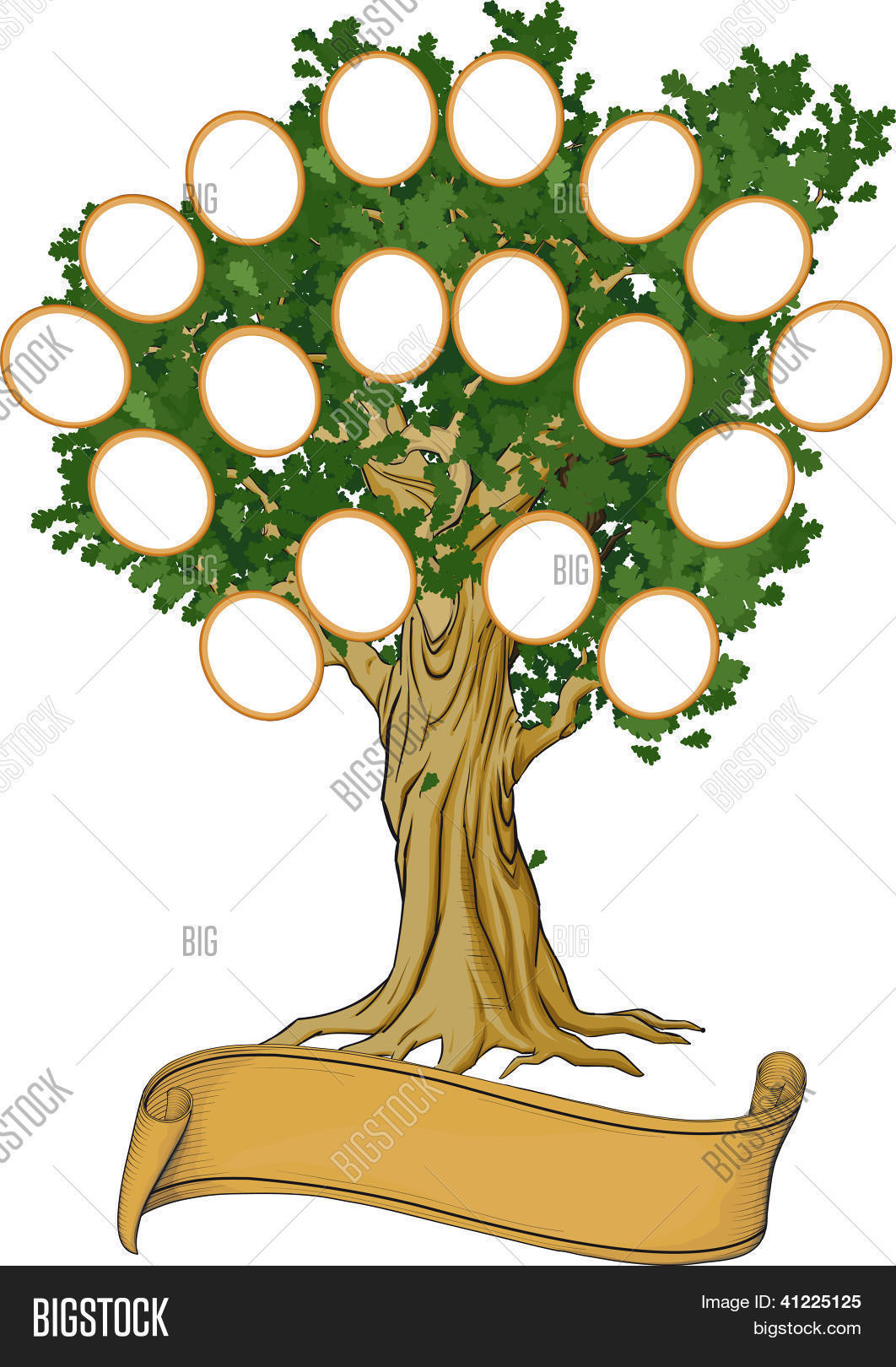 Vector y foto Árbol Genealógico (prueba gratis) | Bigstock