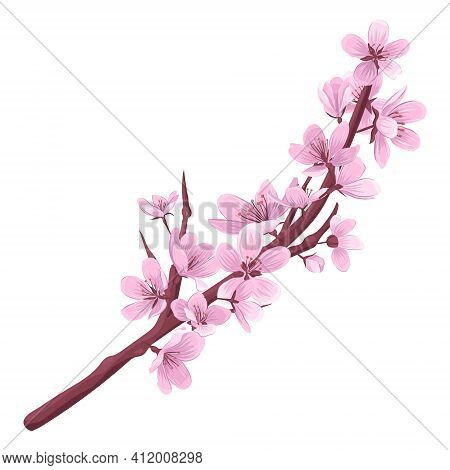 Cherry Blossom Branch Vector & Photo (Free Trial) | Bigstock