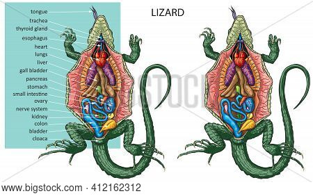 Vector Illustration Vector & Photo (Free Trial) | Bigstock