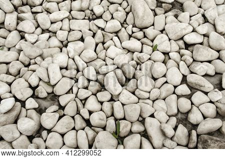 White Pebble On Small Image & Photo (Free Trial) | Bigstock