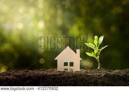 Green Home Images, Illustrations & Vectors (Free) - Bigstock
