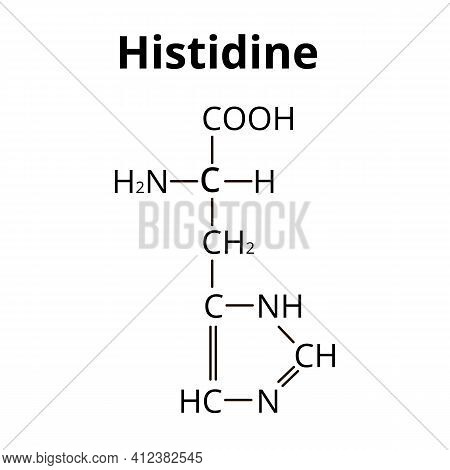 Amino Acid Histidine Vector & Photo (Free Trial) | Bigstock