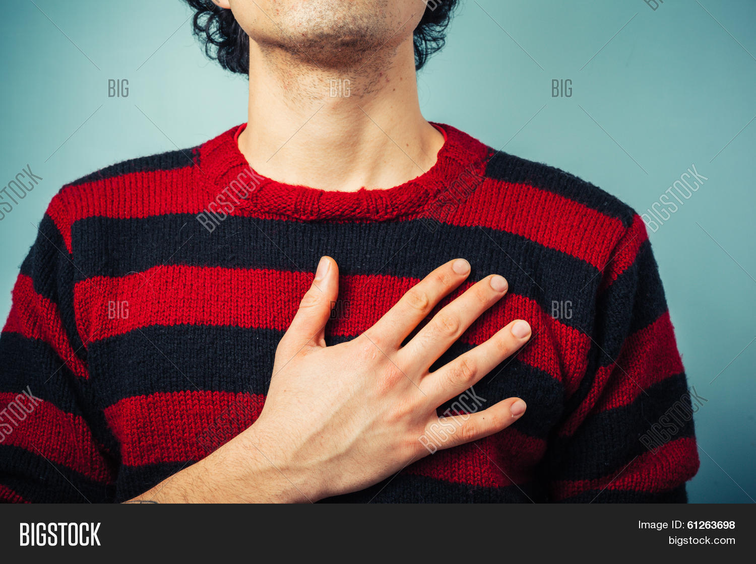 Pledging Allegiance Image & Photo (Free Trial) | Bigstock
