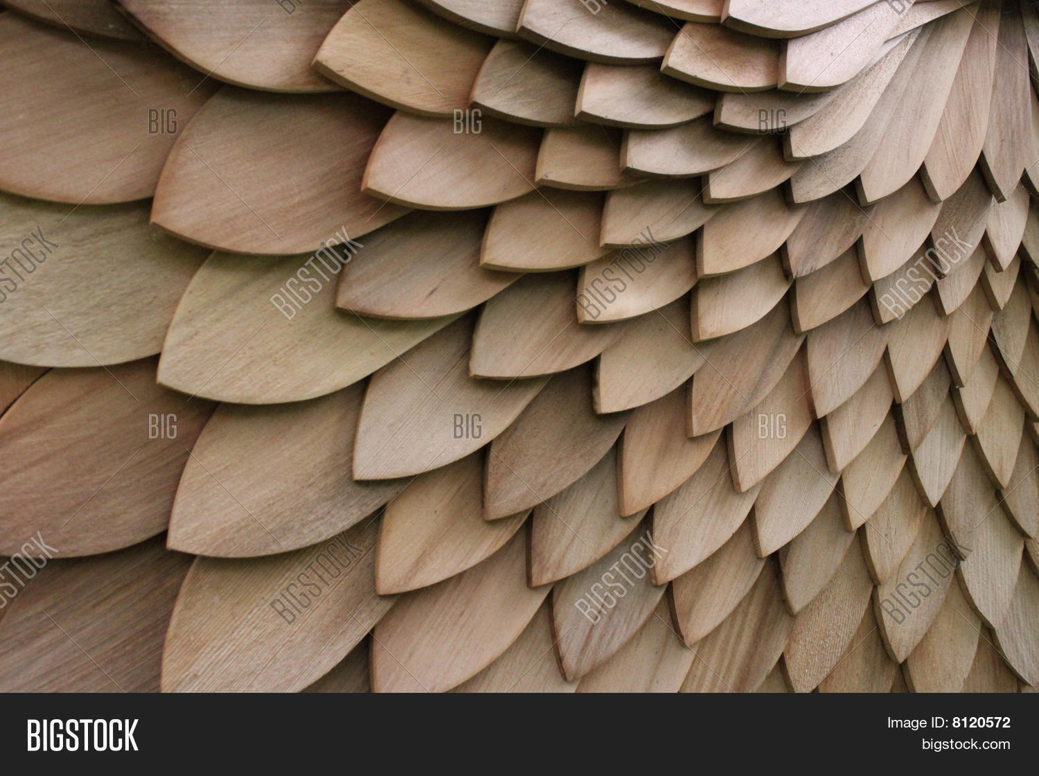 Cedar Shingle Pattern Image & Photo (Free Trial) | Bigstock