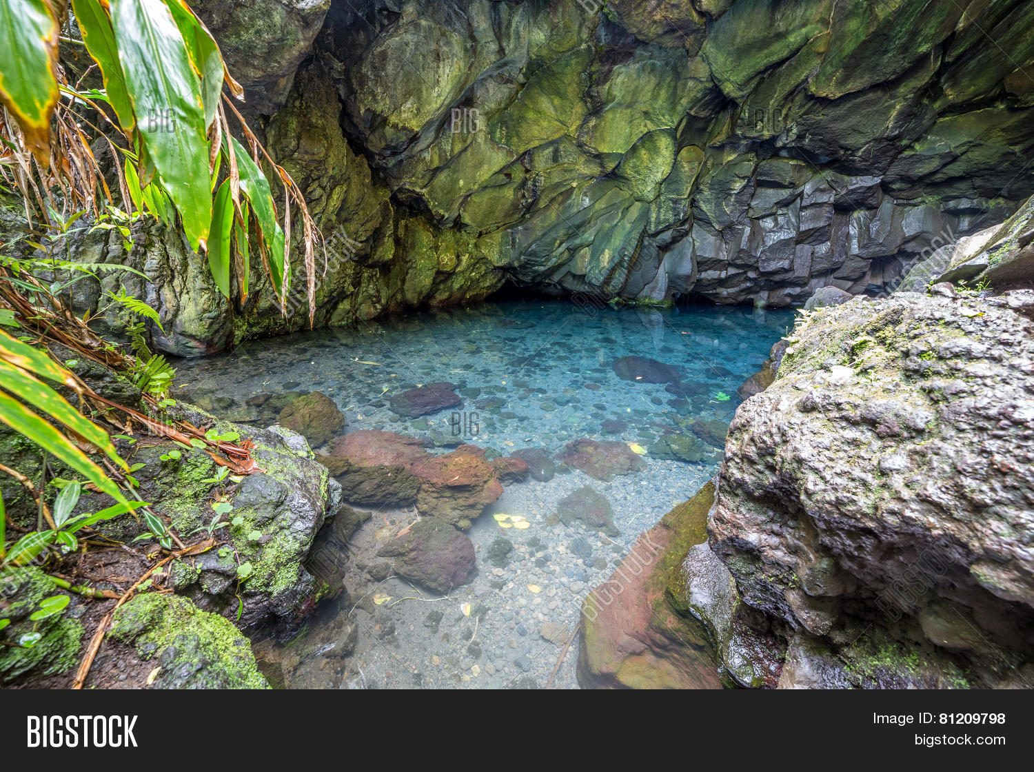 Fresh Water Caves Lava Image & Photo (Free Trial) | Bigstock