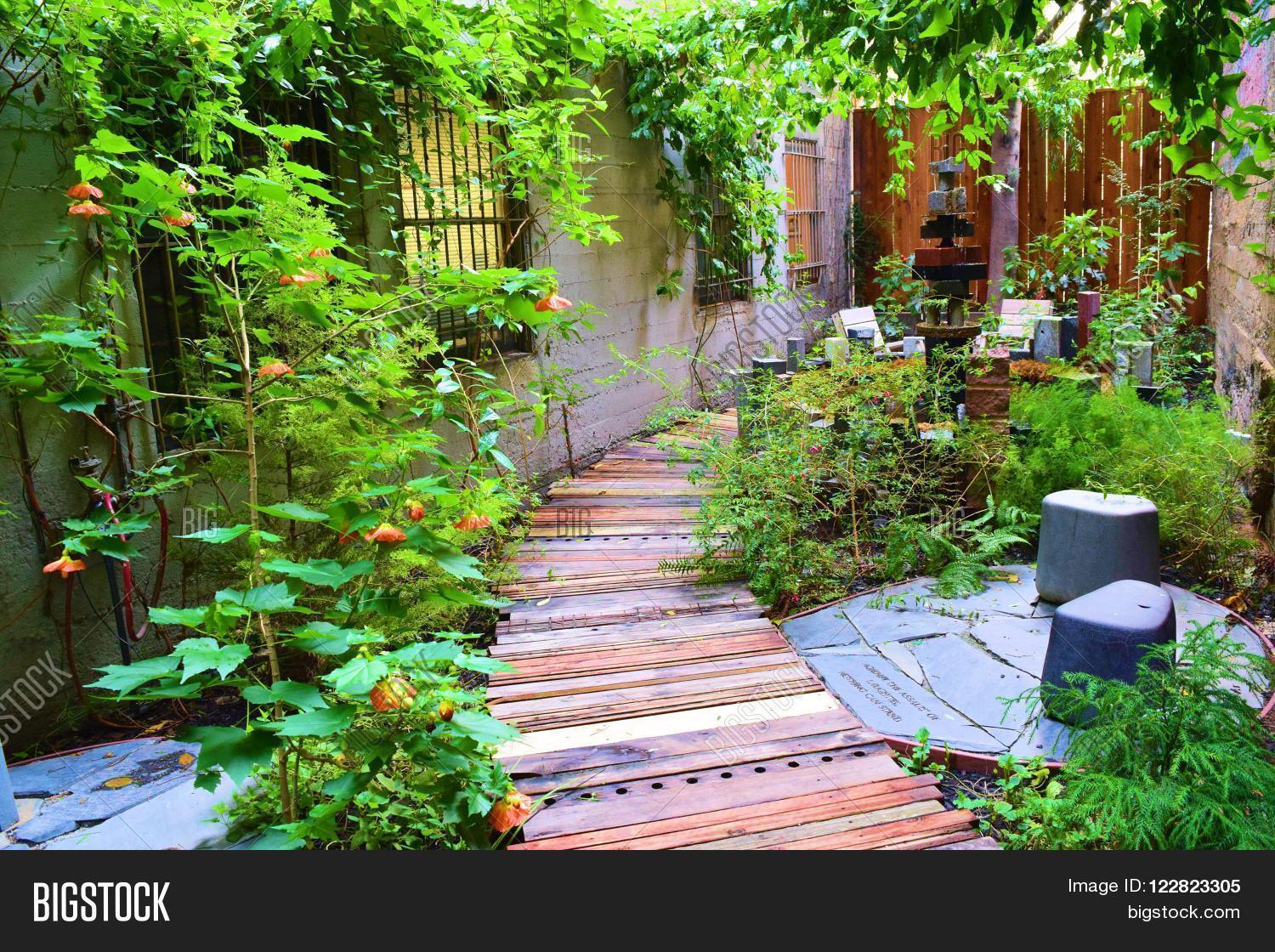 Pathway Plants Image & Photo (Free Trial) | Bigstock