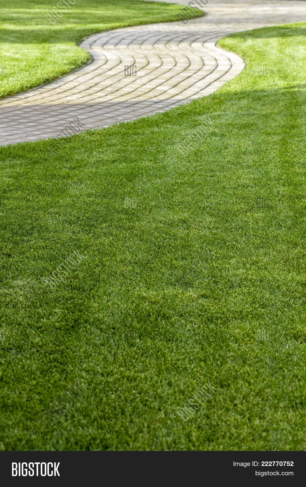 Exactly Trimmed Grass Image & Photo (Free Trial) | Bigstock