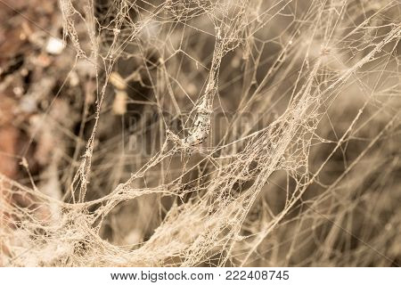 Old Web Background . Image & Photo (Free Trial) | Bigstock