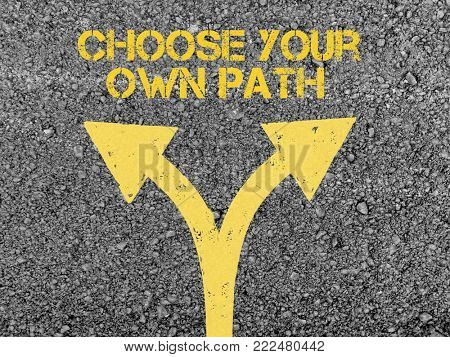 Choose Your Own Path Image & Photo (Free Trial) | Bigstock