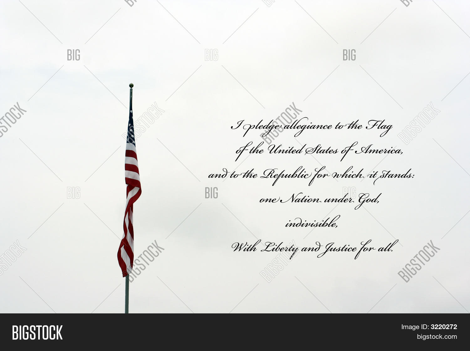 Pledge Image & Photo (Free Trial) | Bigstock