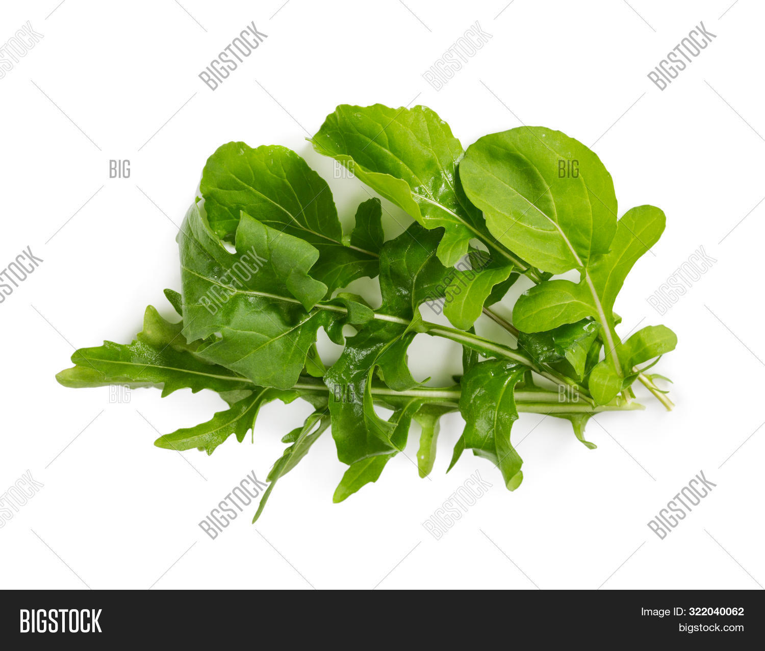 Fresh Arugula Leaves Image & Photo (Free Trial) | Bigstock