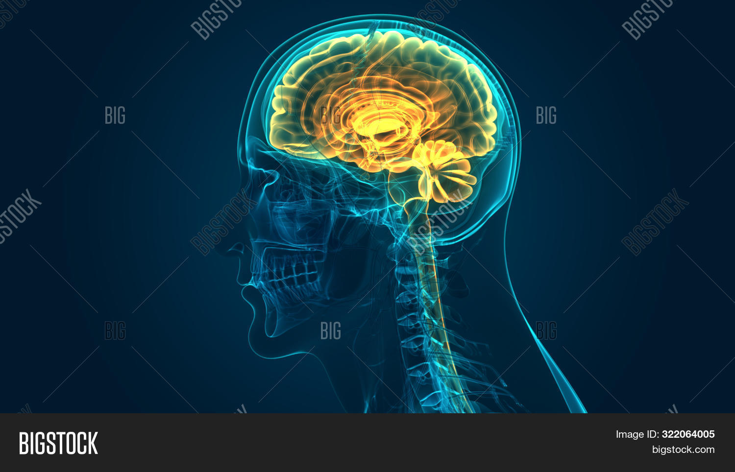 3d Illustration Image & Photo (Free Trial) | Bigstock