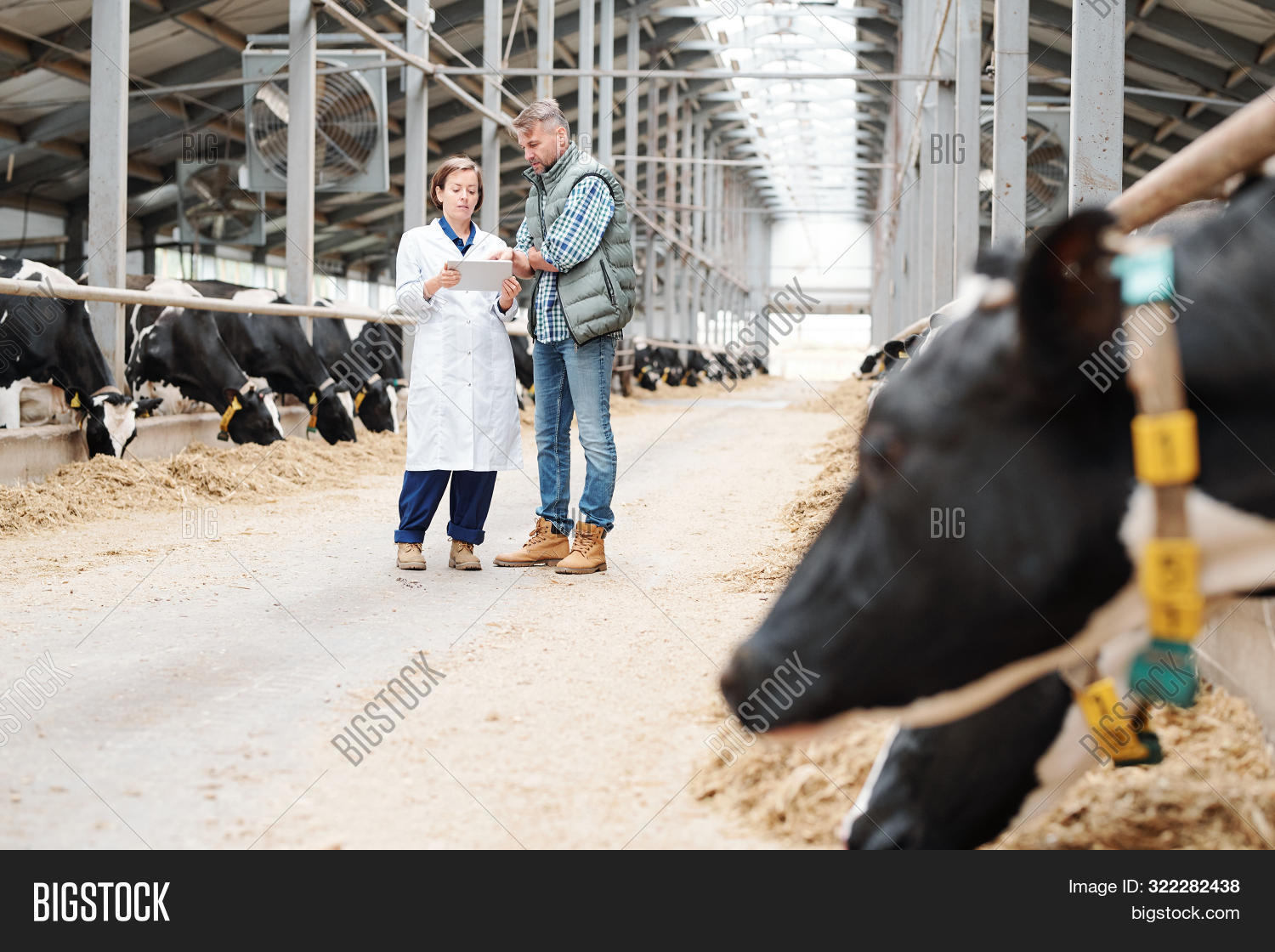 Young Female Worker Image & Photo (Free Trial) | Bigstock