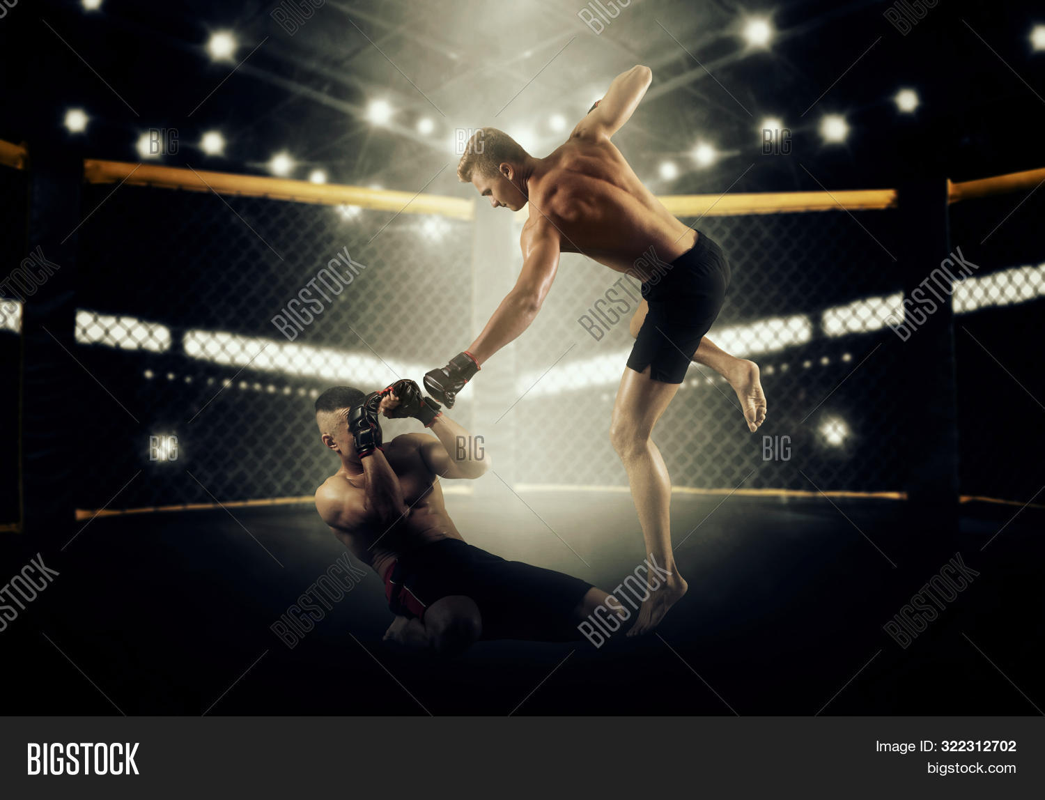 MMA Boxers Fighters Image & Photo (Free Trial) | Bigstock