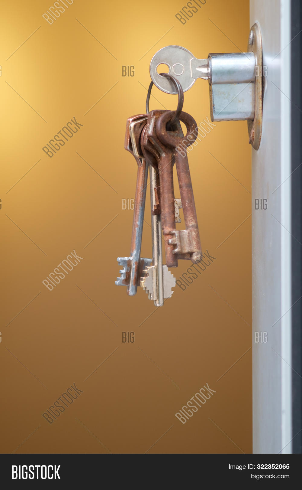 Key Keyhole Image & Photo (Free Trial) | Bigstock