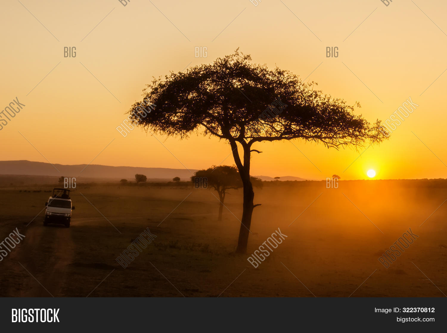African Safari Sunrise