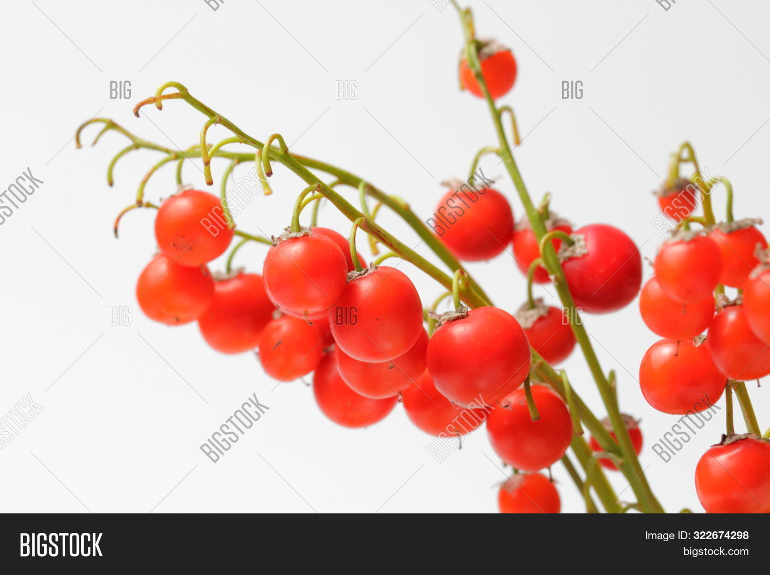 Bright Ripe Very Image & Photo (Free Trial) | Bigstock