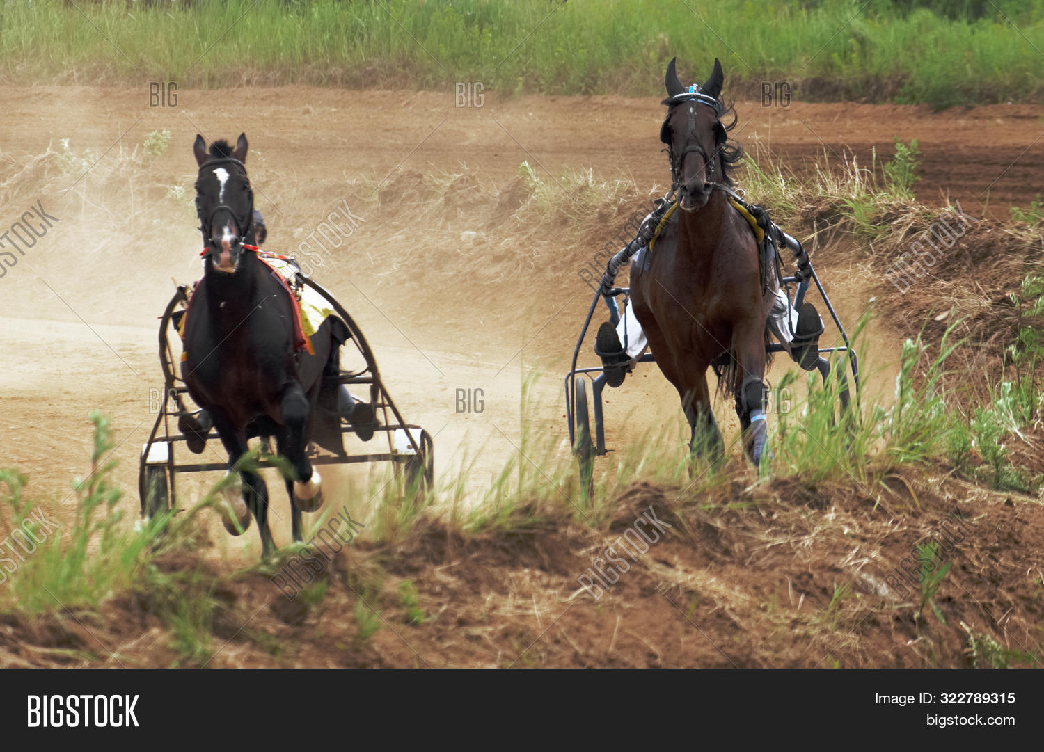 Race Horses.two Horses Image & Photo (Free Trial) | Bigstock