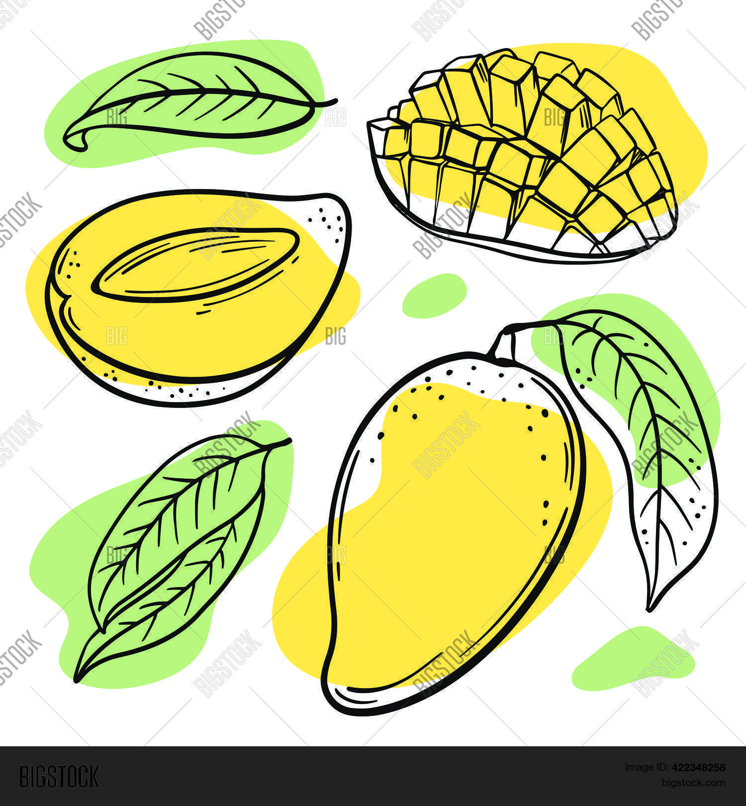 Fresh Mango Abstract Vector & Photo (Free Trial) | Bigstock