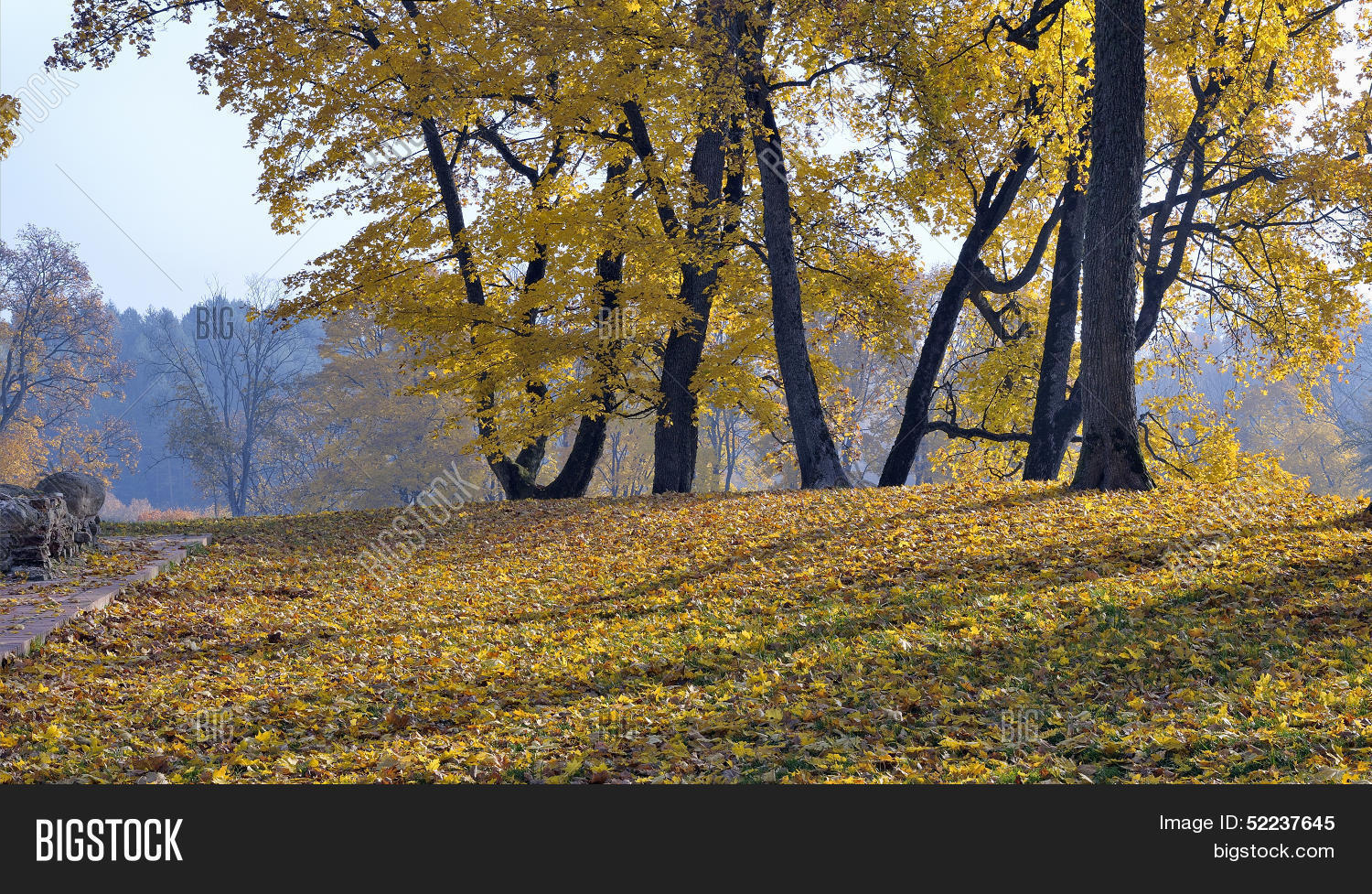 Radvila Palace Hill Image & Photo (Free Trial) | Bigstock