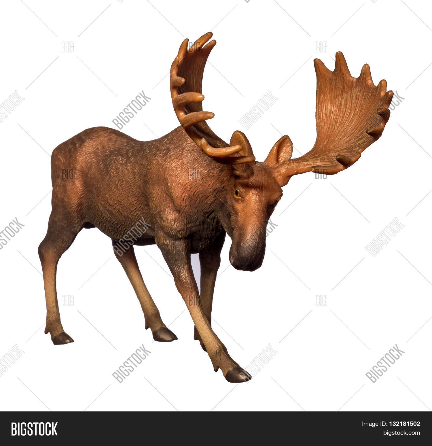 Beautiful Collectible Image & Photo (Free Trial) | Bigstock