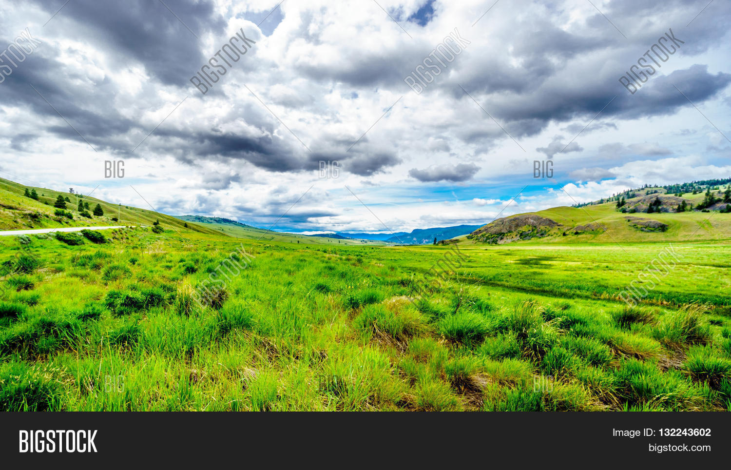 Wide Open Grasslands Image & Photo (Free Trial) | Bigstock