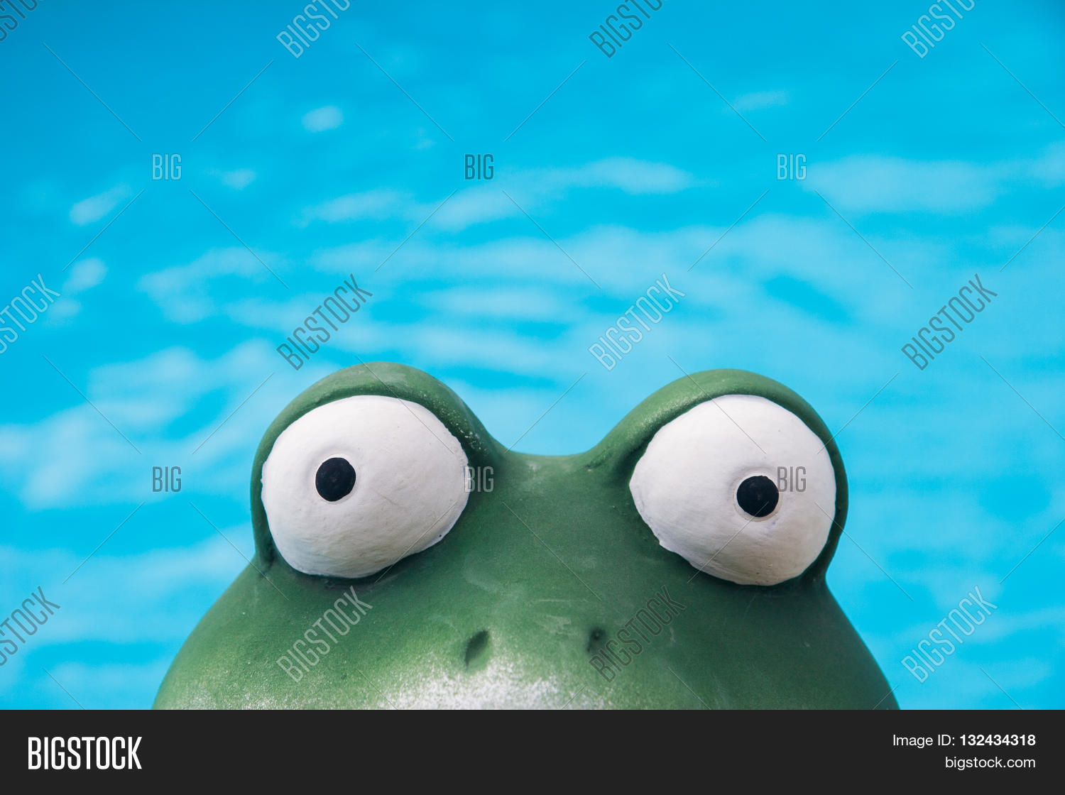 Frog Eye View Front Image & Photo (Free Trial) | Bigstock