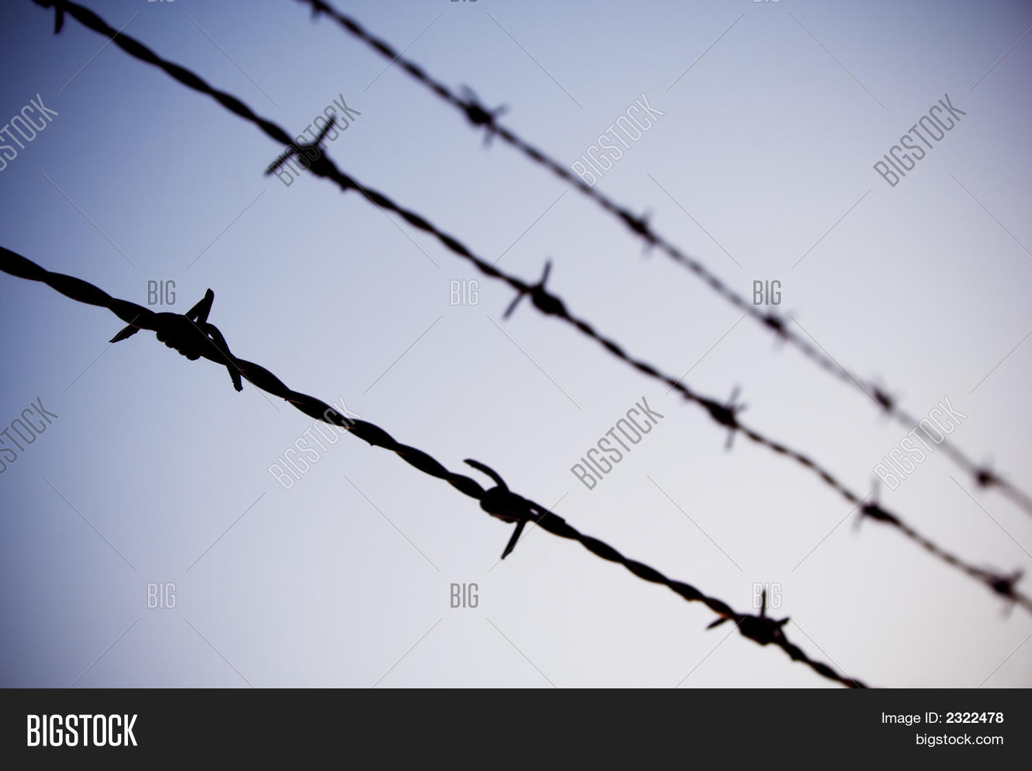 Barb Wire Image & Photo (Free Trial) | Bigstock