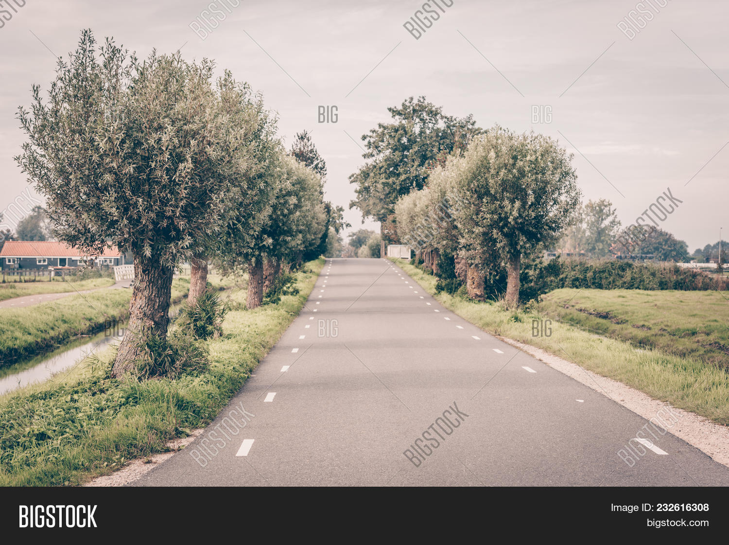 Beautiful Road Image & Photo (Free Trial) | Bigstock