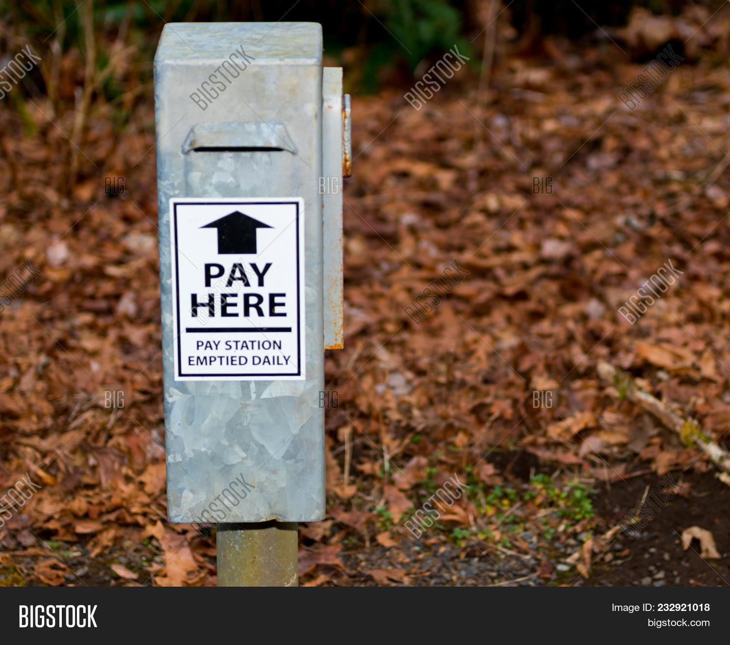 Park Pay Station Drop Image & Photo (Free Trial) | Bigstock