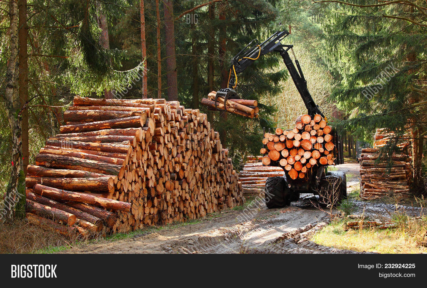 Modern Logging Pictures